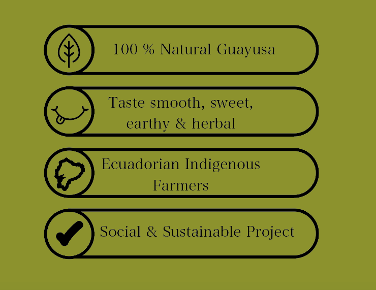 PACHA Guayusa Powder – PACHA GUAYUSA